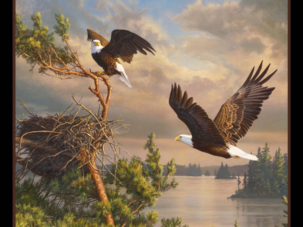 Paw Patrol - International Textiles Ltd.