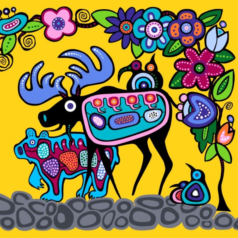 Indigenous Fabrics - International Textiles Ltd.